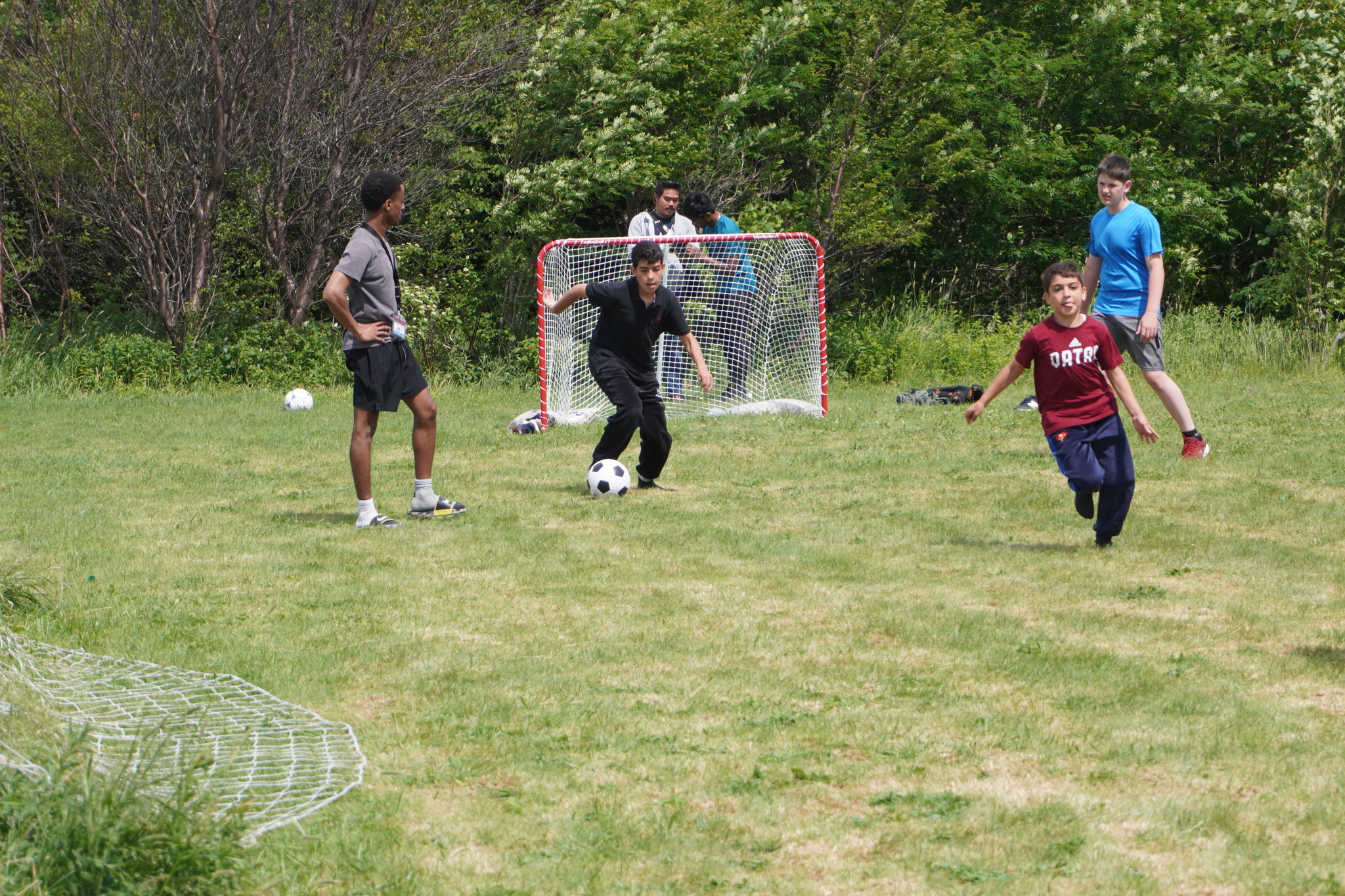 2024 Multicultural Family Sports Day | Association for New Canadians