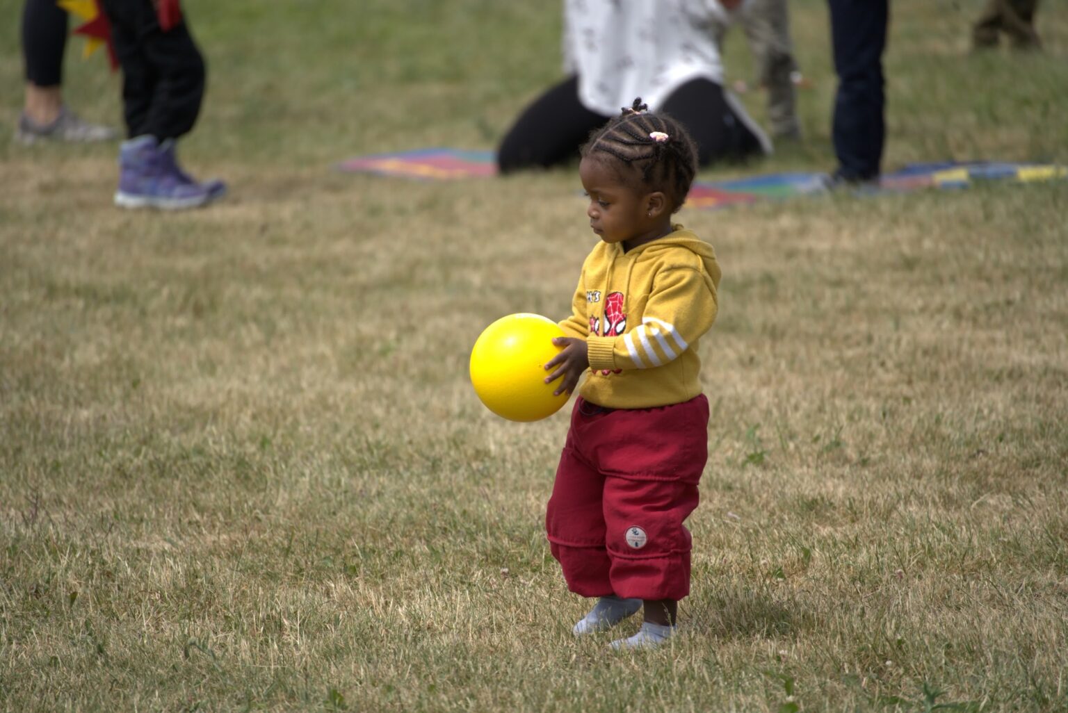 2025 Multicultural Family Sports Day | Association for New Canadians